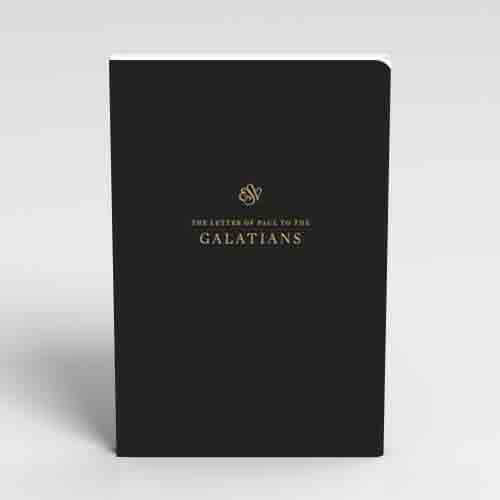 Galatians Esv Scripture Journal Resources By Vince Miller